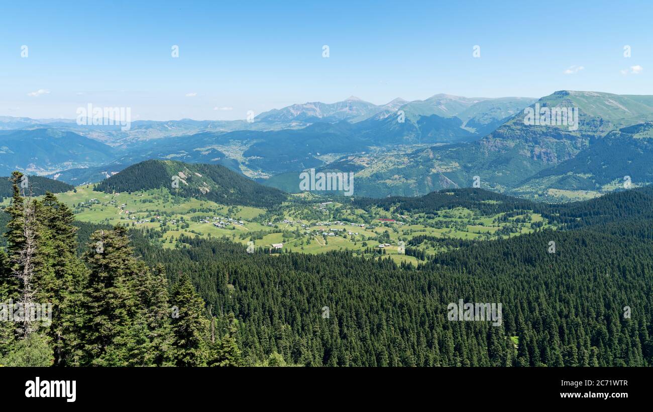 Green nature landscape of trees and forests in rural areas of Savsat ...