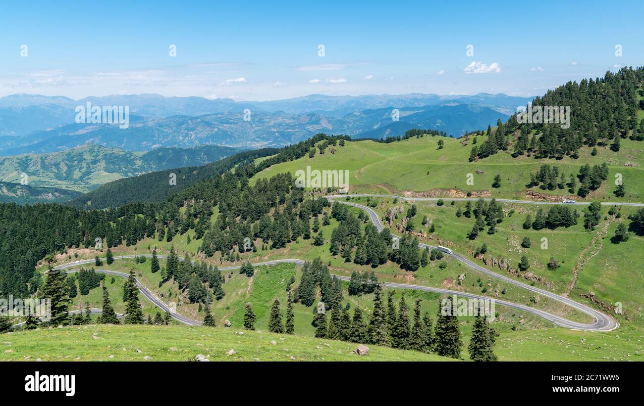 Green nature landscape of trees and forests in rural areas of Savsat ...