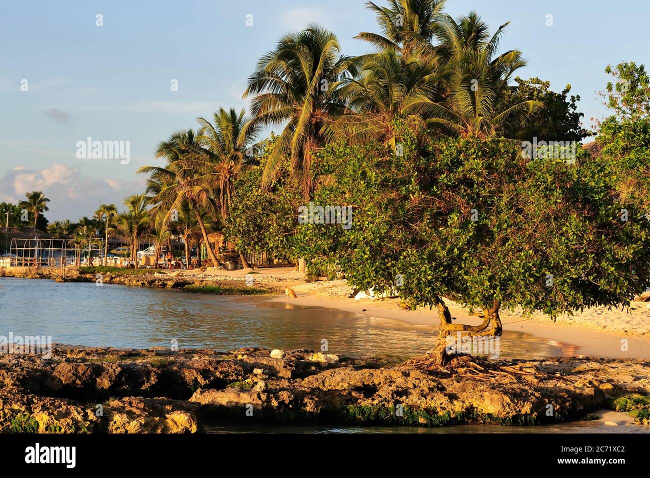 Dominikana hi-res stock photography and images - Alamy