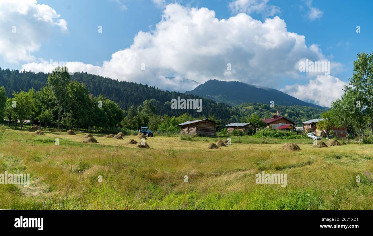 Farmer tractor field turkey hi-res stock photography and images - Alamy