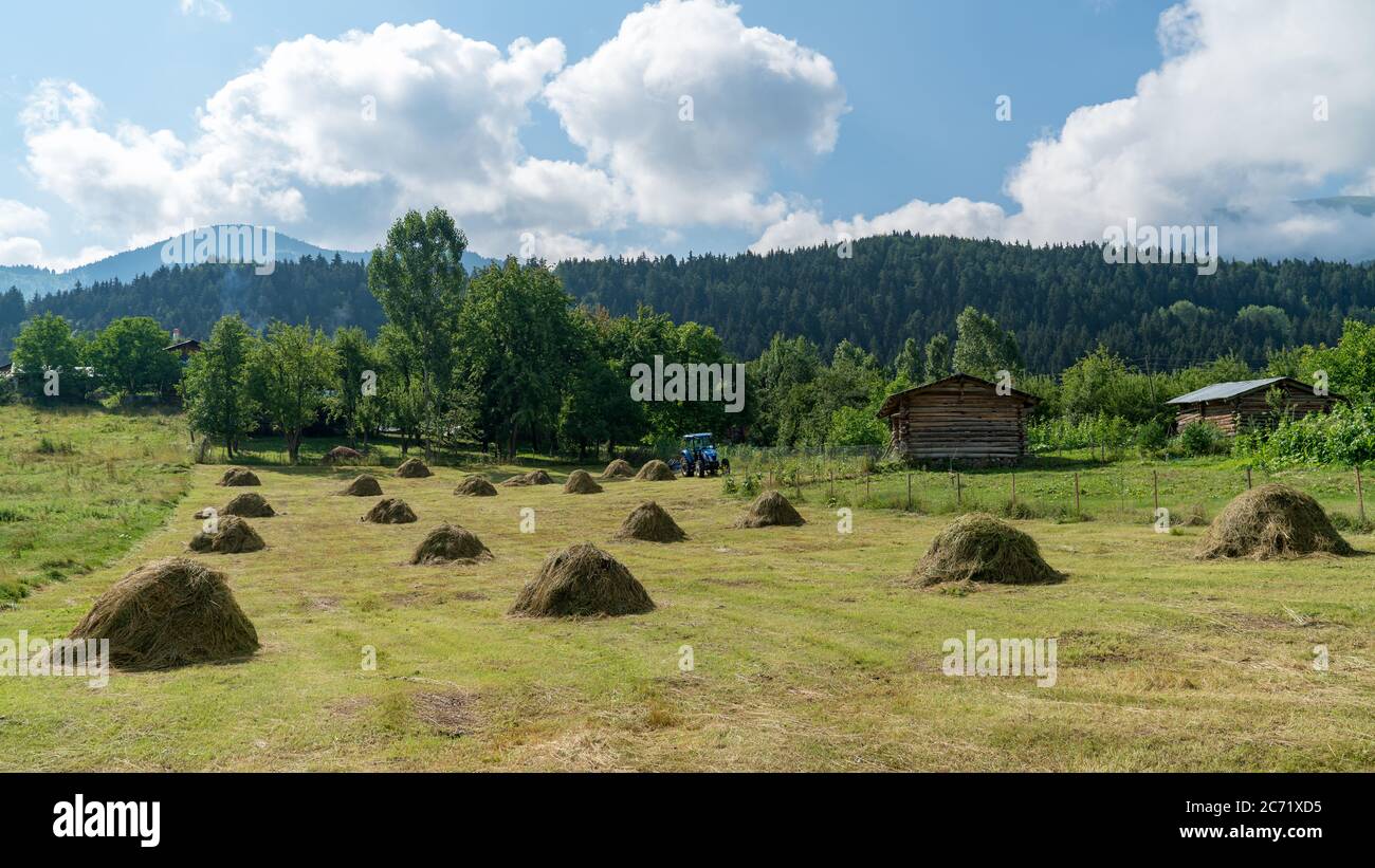 Farmer tractor field turkey hi-res stock photography and images - Alamy