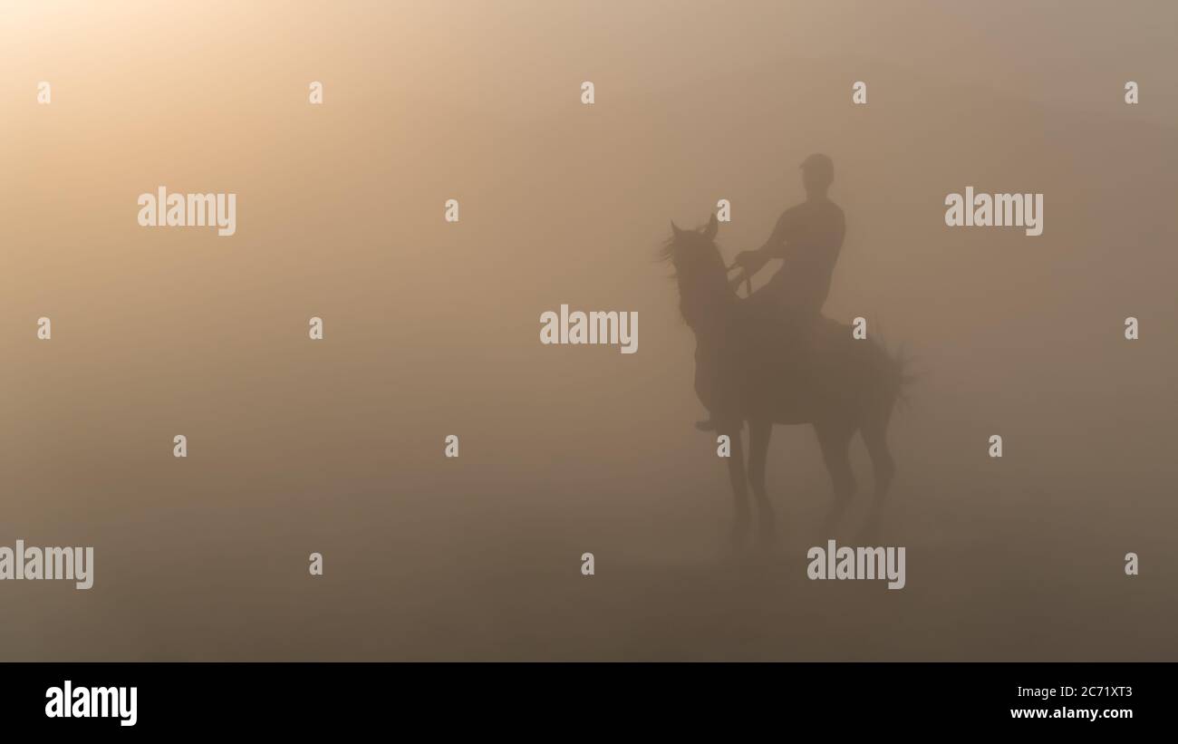 Yilki horse hi-res stock photography and images - Alamy