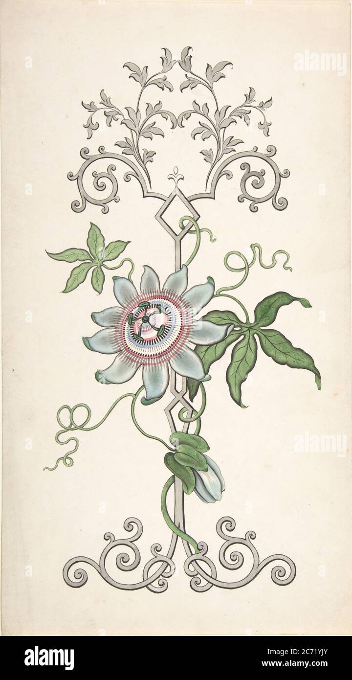 Design for Panel Decoration Centered on a Passion Flower, 1828-40 Stock ...
