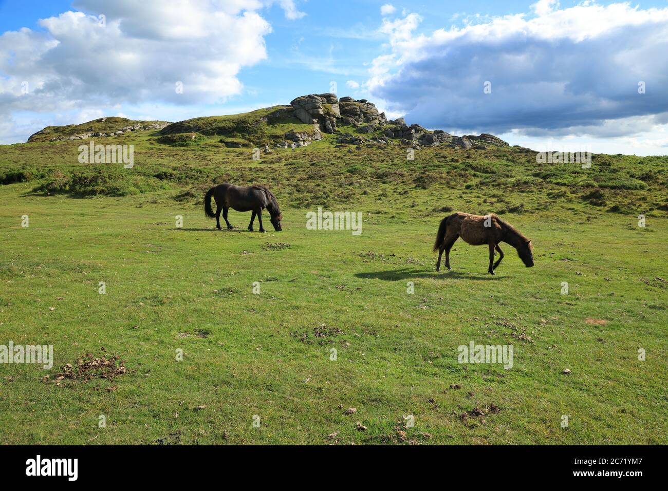 Saddle tor, Dartmoor, Devon, England, UK Stock Photo - Alamy