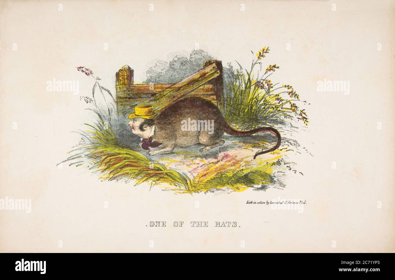 One of the Rats, from The Comic Natural History of the Human Race, 1851 ...