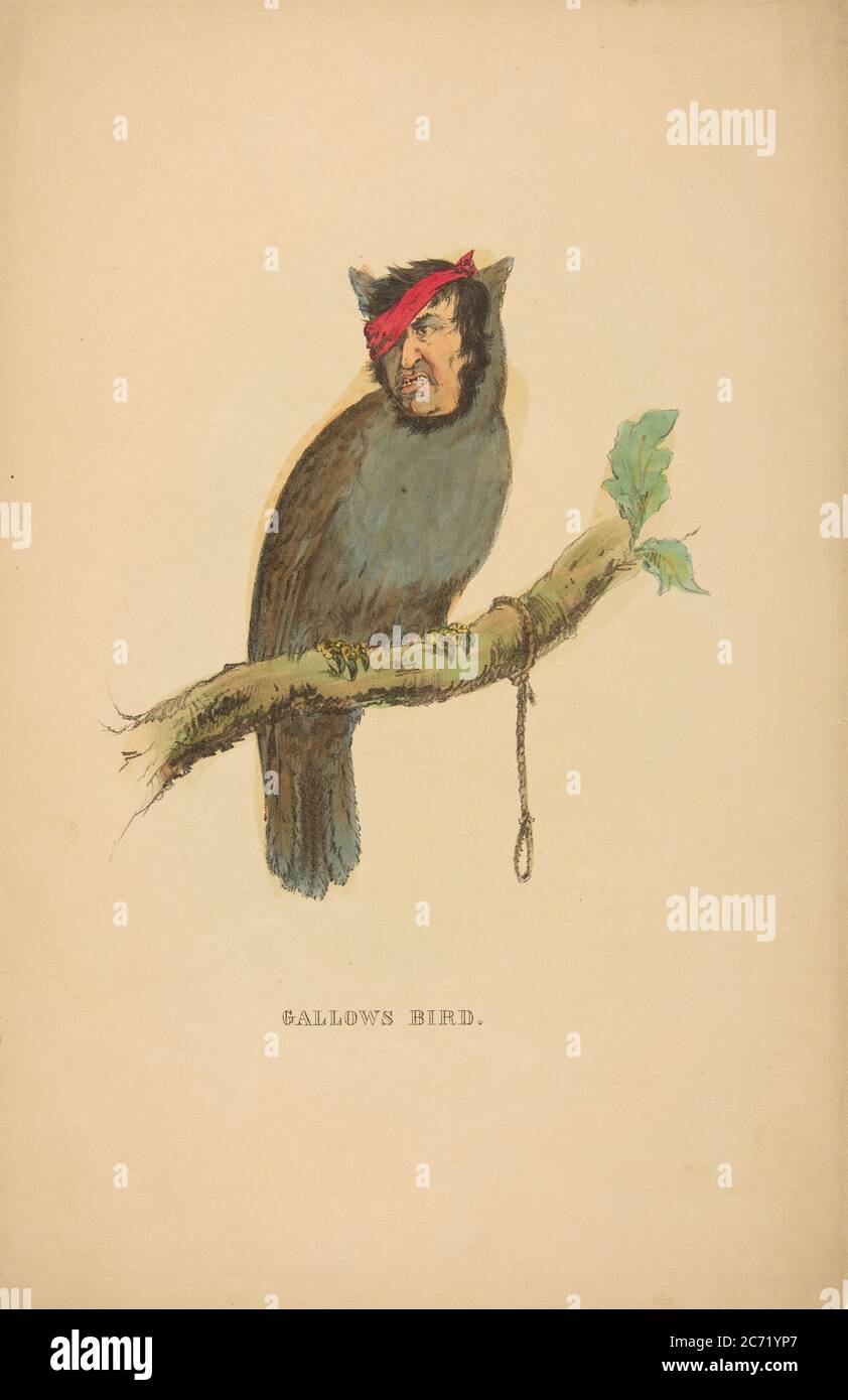Gallows Bird, from The Comic Natural History of the Human Race, 1851 ...