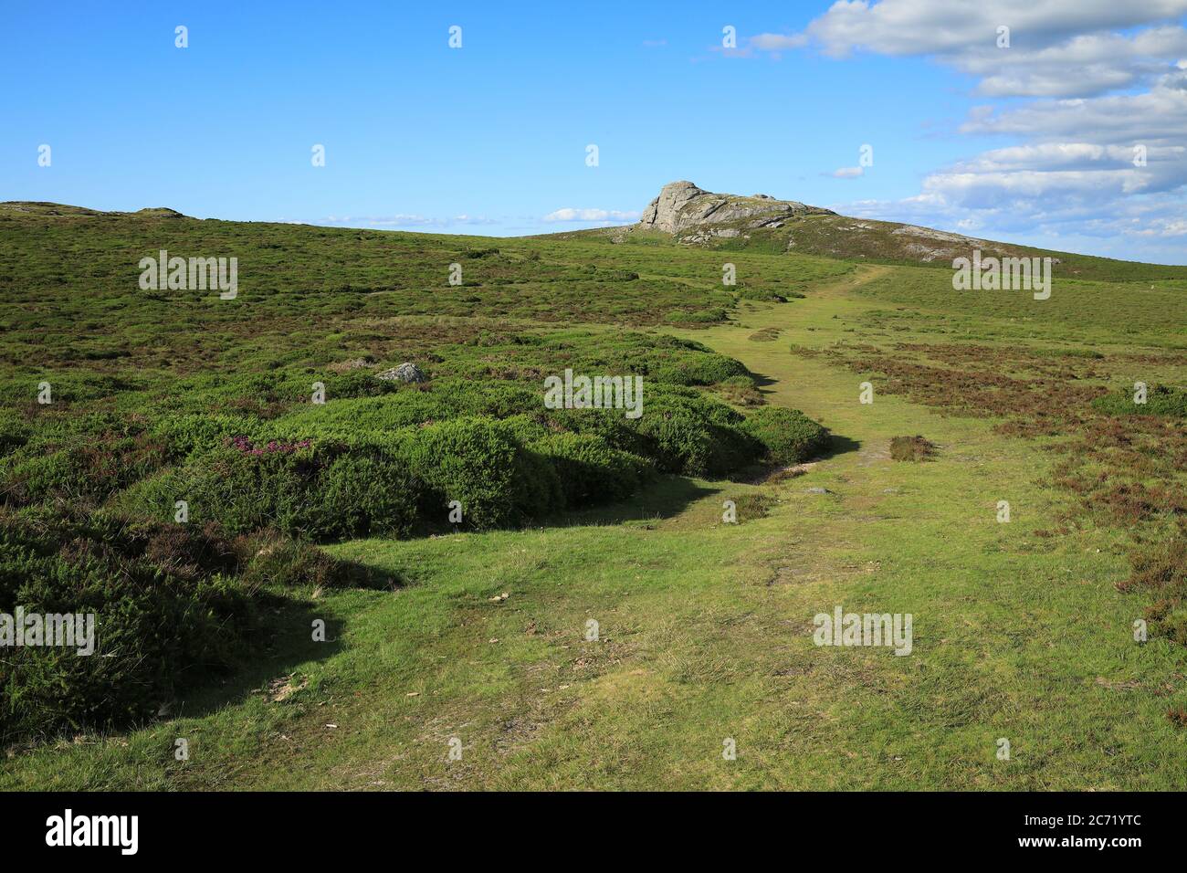 View towards Haytor, Dartmoor, Devon, England, UK Stock Photo - Alamy