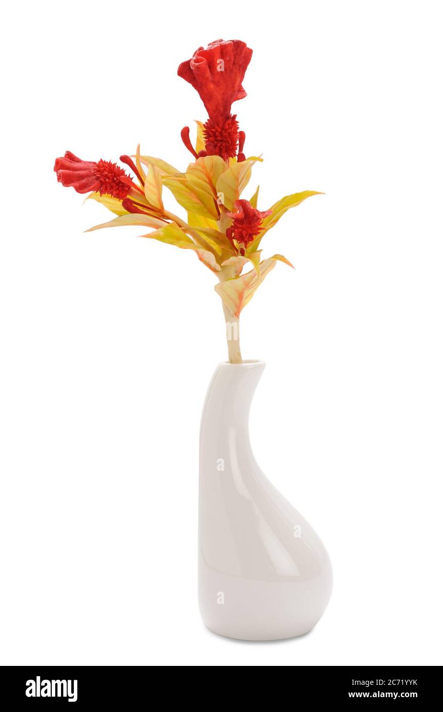 Table flowers decoration Cut Out Stock Images & Pictures - Alamy