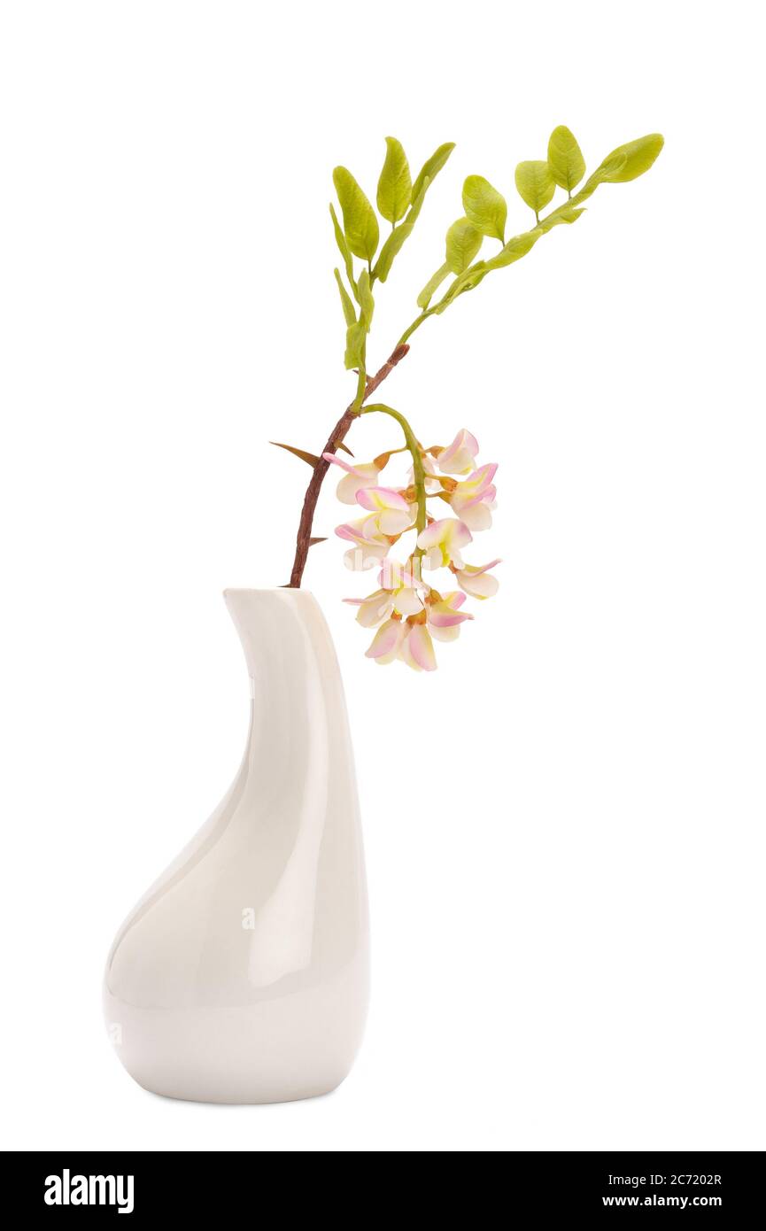 Green locust close up Cut Out Stock Images & Pictures - Alamy