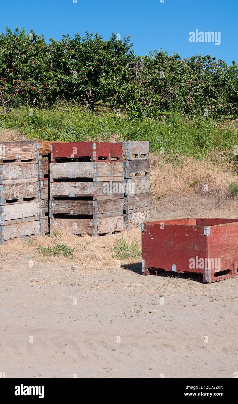 Getting in bins hi-res stock photography and images - Alamy