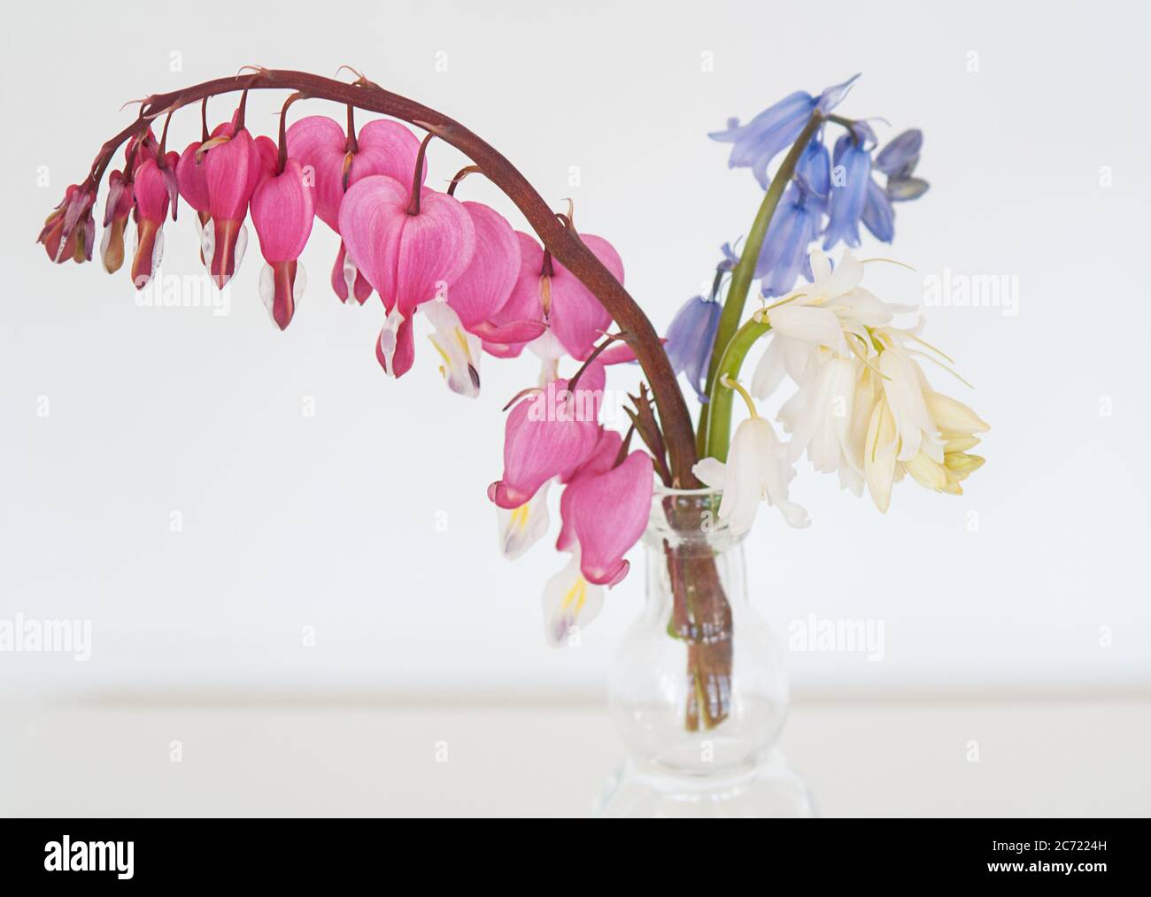 Spring flowers in small vase with a pretty arching spray of bleeding ...