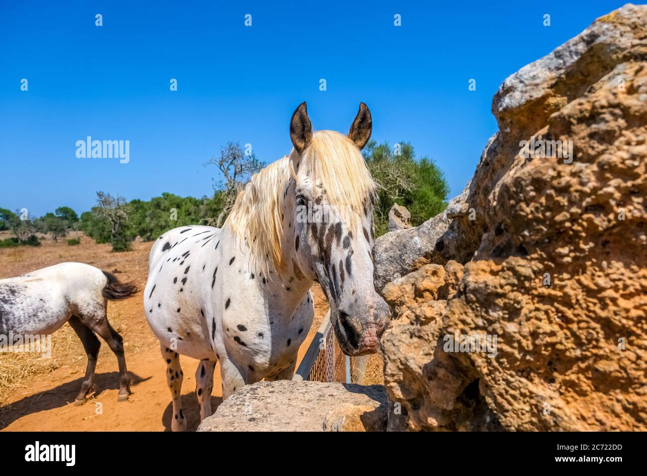 Pippi langstrumpf horse hi-res stock photography and images - Alamy