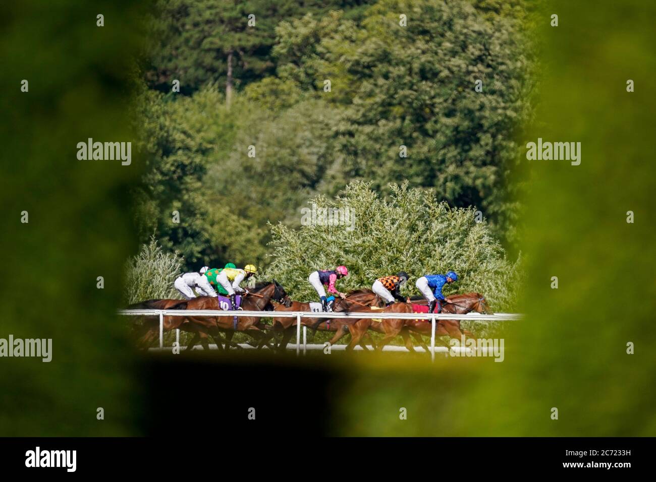 A general view of runners racing down the back straight in The Unibet ...