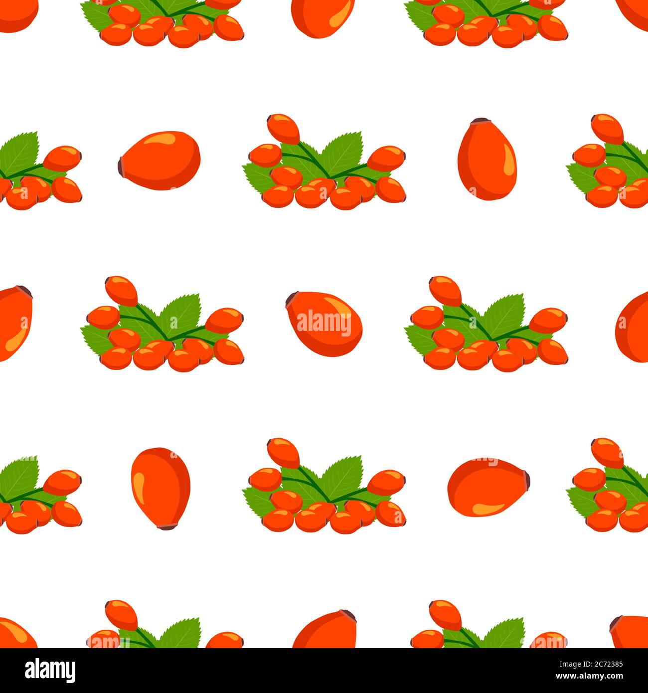Illustration on theme big colored seamless rose hip, bright berry ...