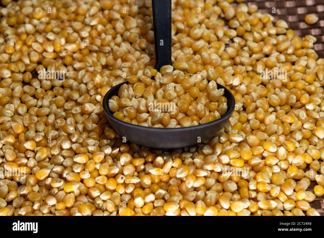 Popcorn kernels. Popcorn is a little different from the usual, as it ...