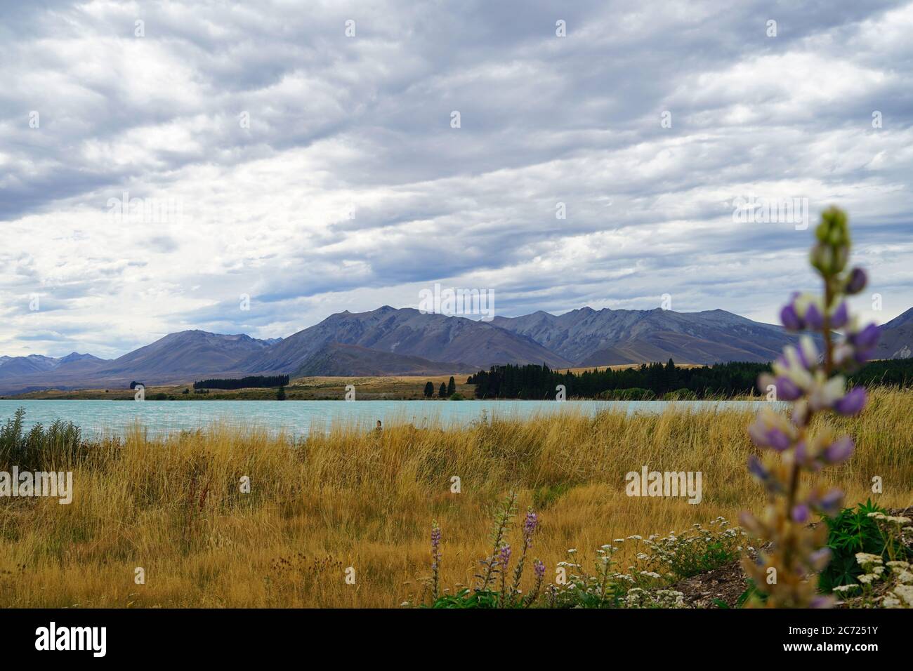 Lake Tekapo New Zealand High Resolution Stock Photography and Images ...