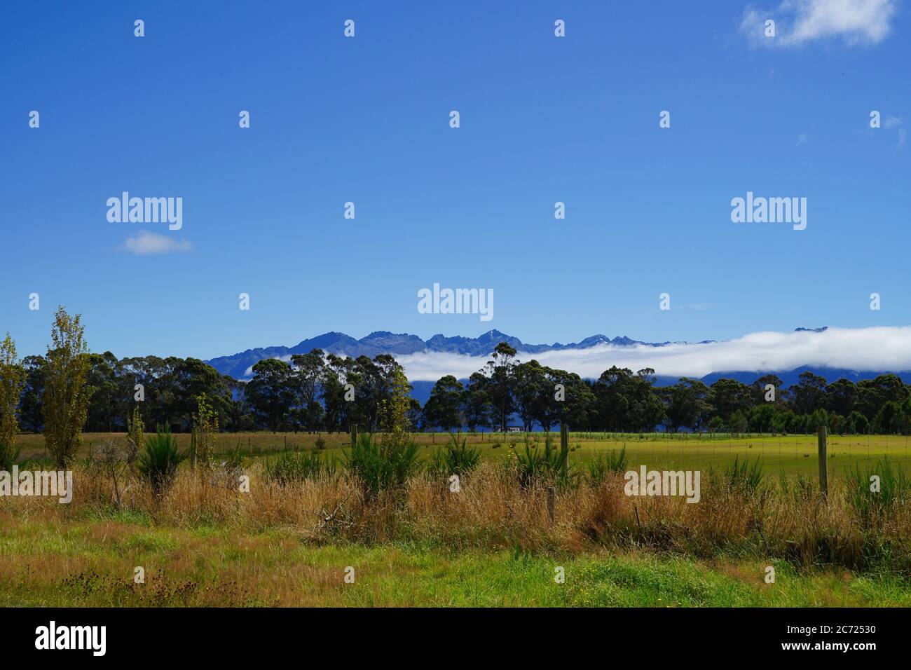 New Zealand landscape - meadow bush trees mountain blue sky clouds ...