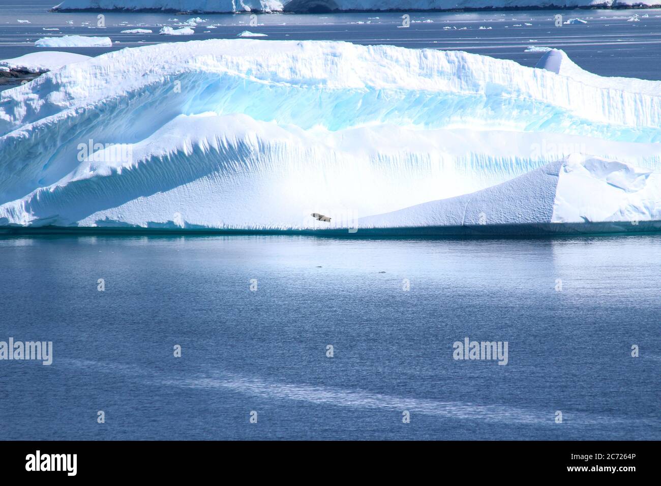 An iceberg along the coasts of the Danco Coast in the Antarctic ...