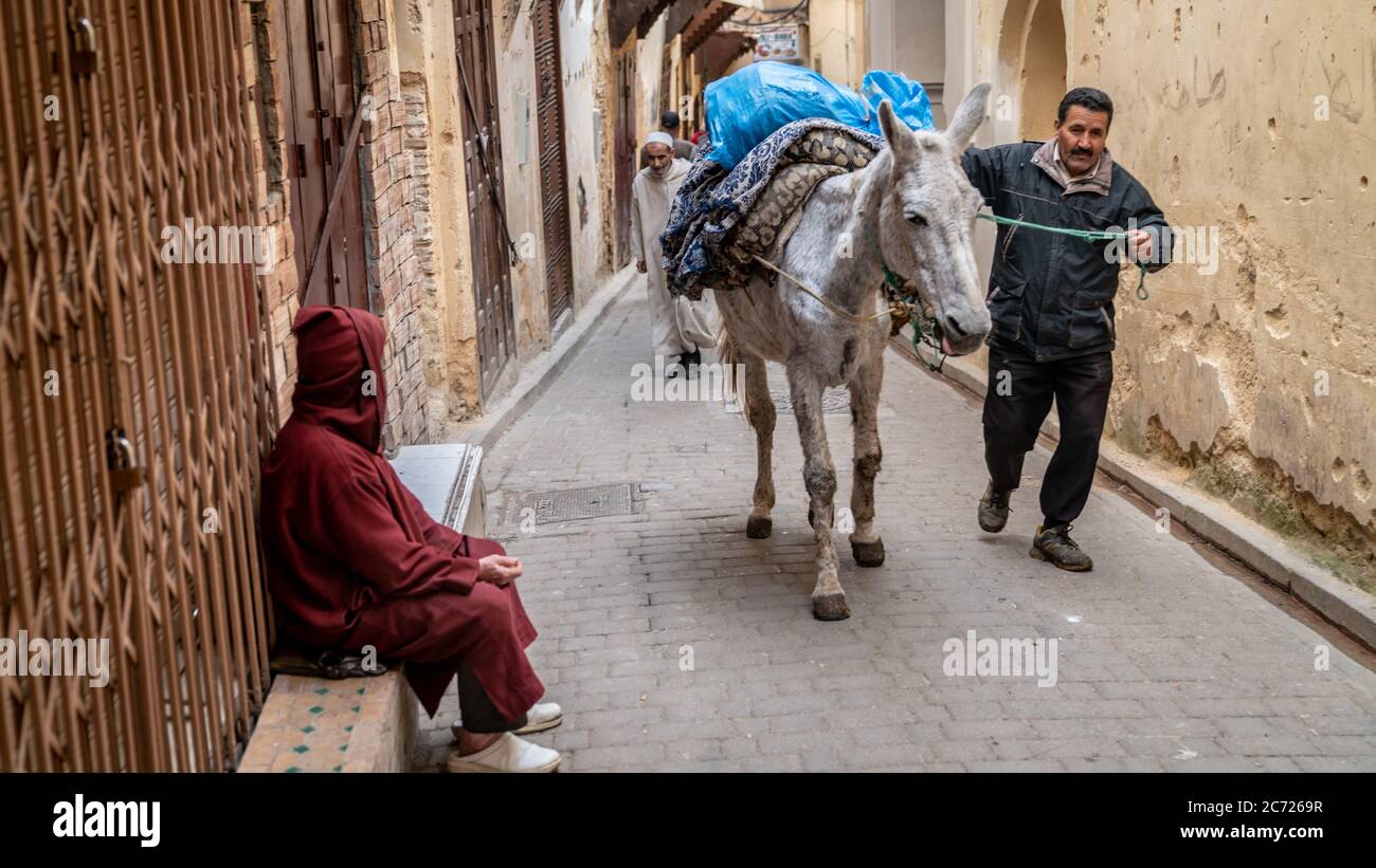 Horse carrying load hi-res stock photography and images - Alamy