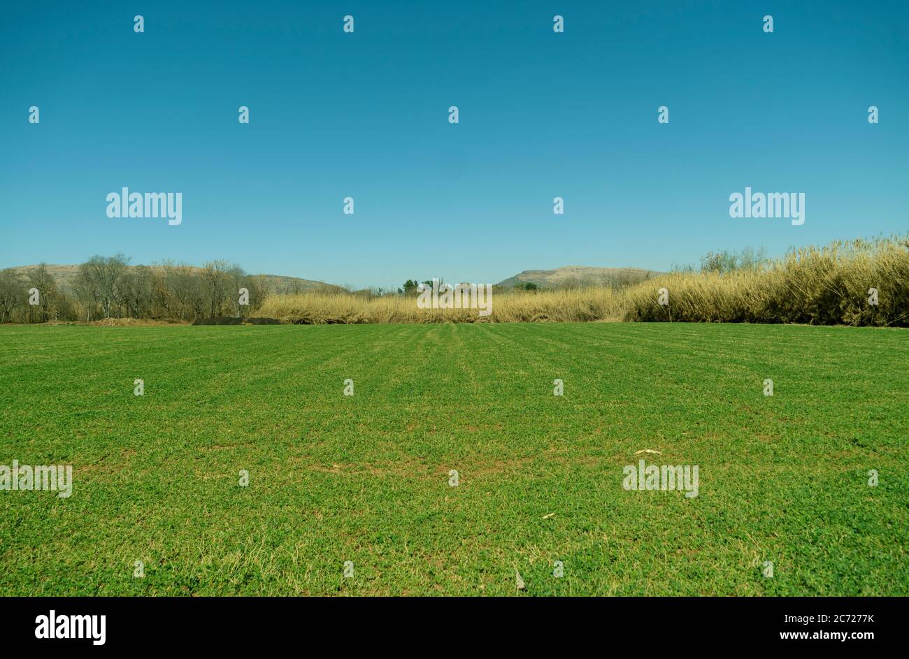 Landscape south africa hi-res stock photography and images - Alamy