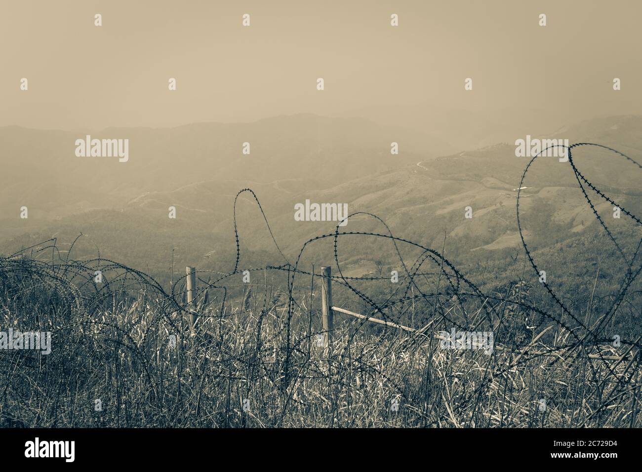 landscape Tangled barbed wire in the Vietnam War Stock Photo - Alamy