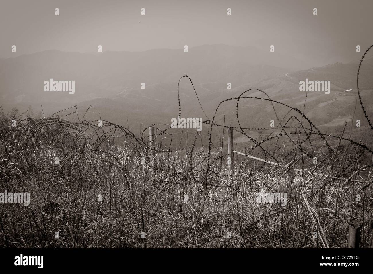 landscape Tangled barbed wire in the Vietnam War Stock Photo - Alamy