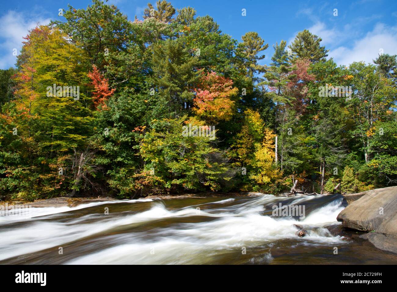 Autumn leaf color with stream and flowing water Stock Photo - Alamy