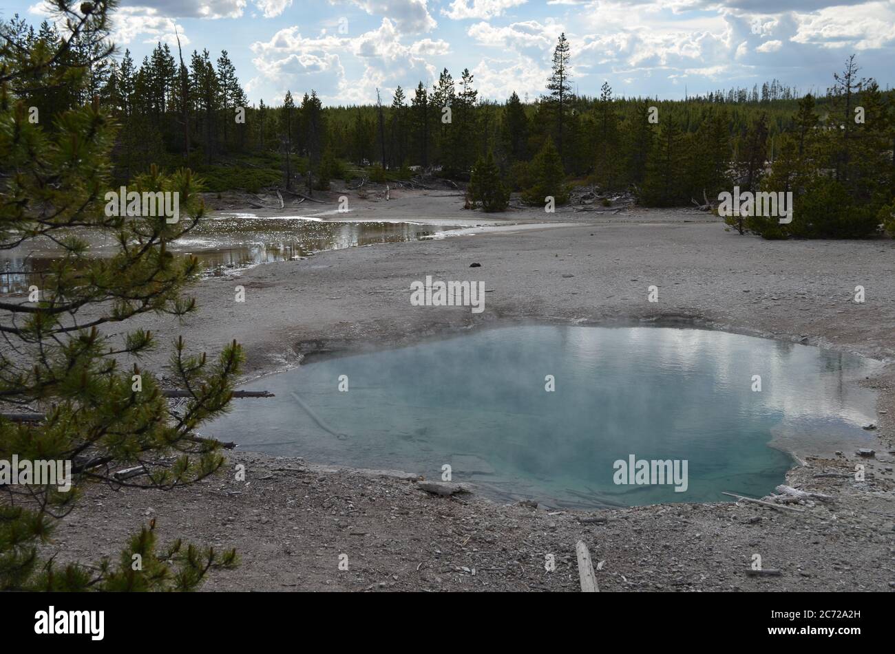Late Spring in Yellowstone National Park: Mud Pool (Spring) with ...