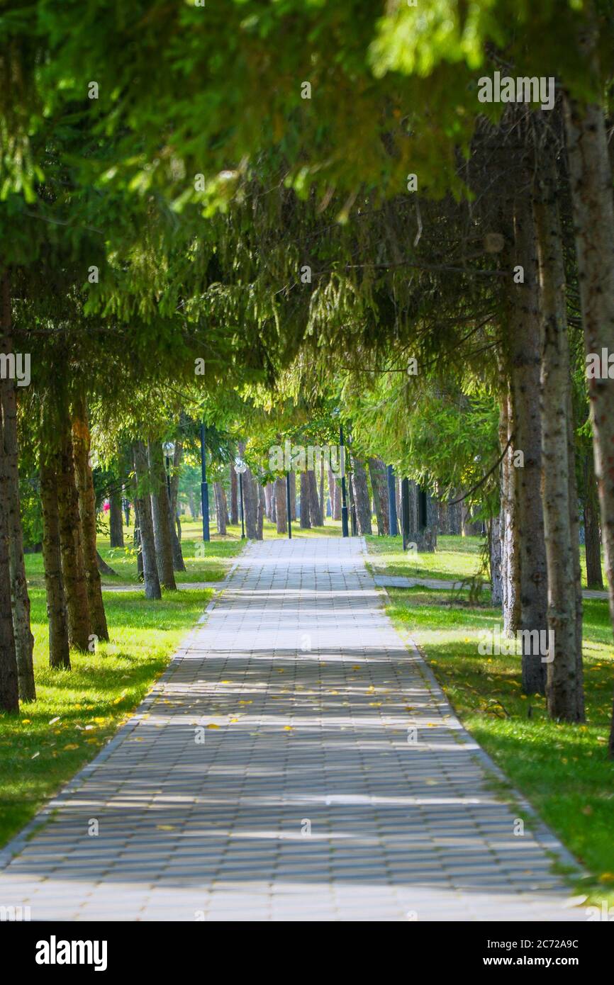 Park Lane High Resolution Stock Photography and Images - Alamy