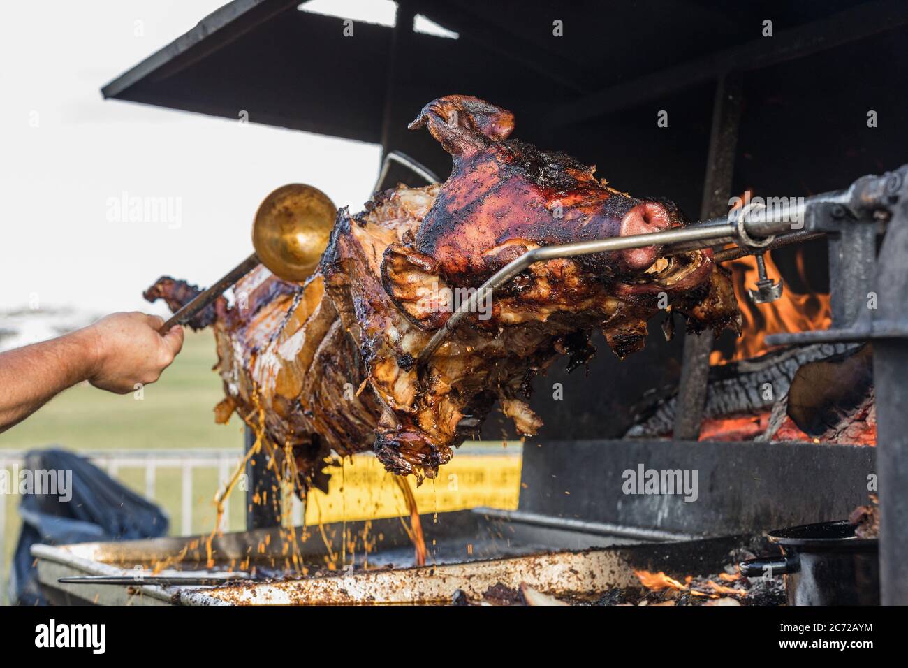 Portioning of roasted pig, slicing of meat.. Pig grilled traditional ...