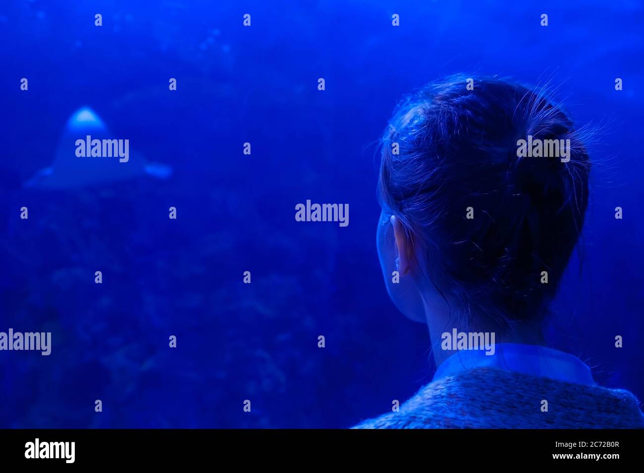 Underwater life, tourism, education and entertainment concept. Portrait ...