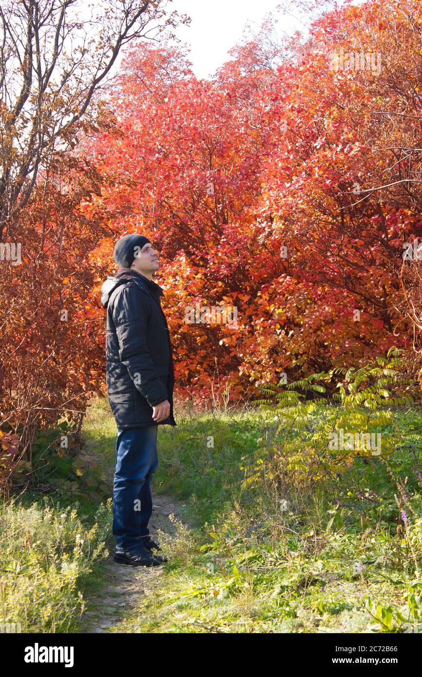 Young man in autumn on a walk through nature among trees, pensive Stock ...