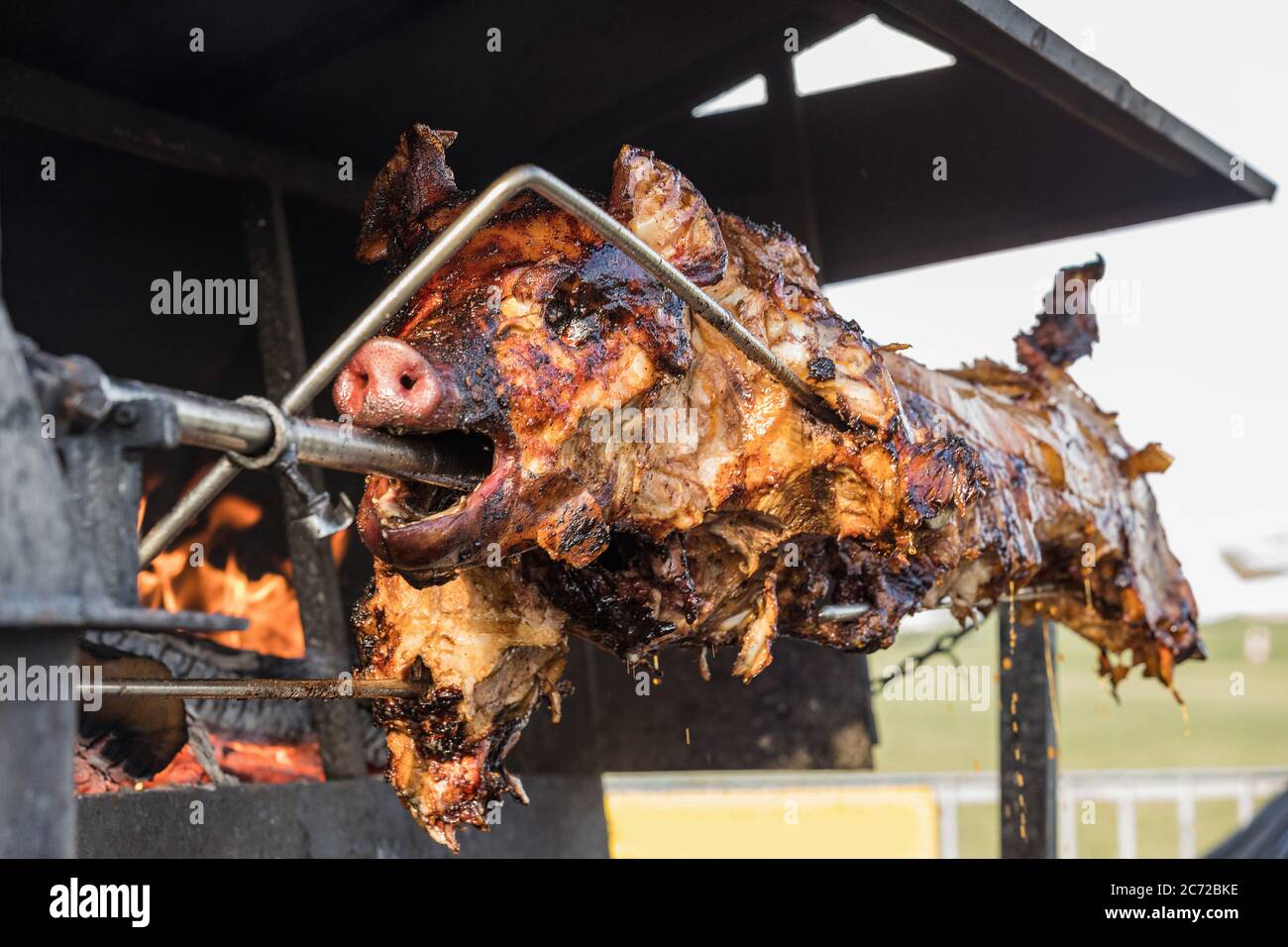 A pig grilled traditional wood and fire. Pig grilled traditional coal ...