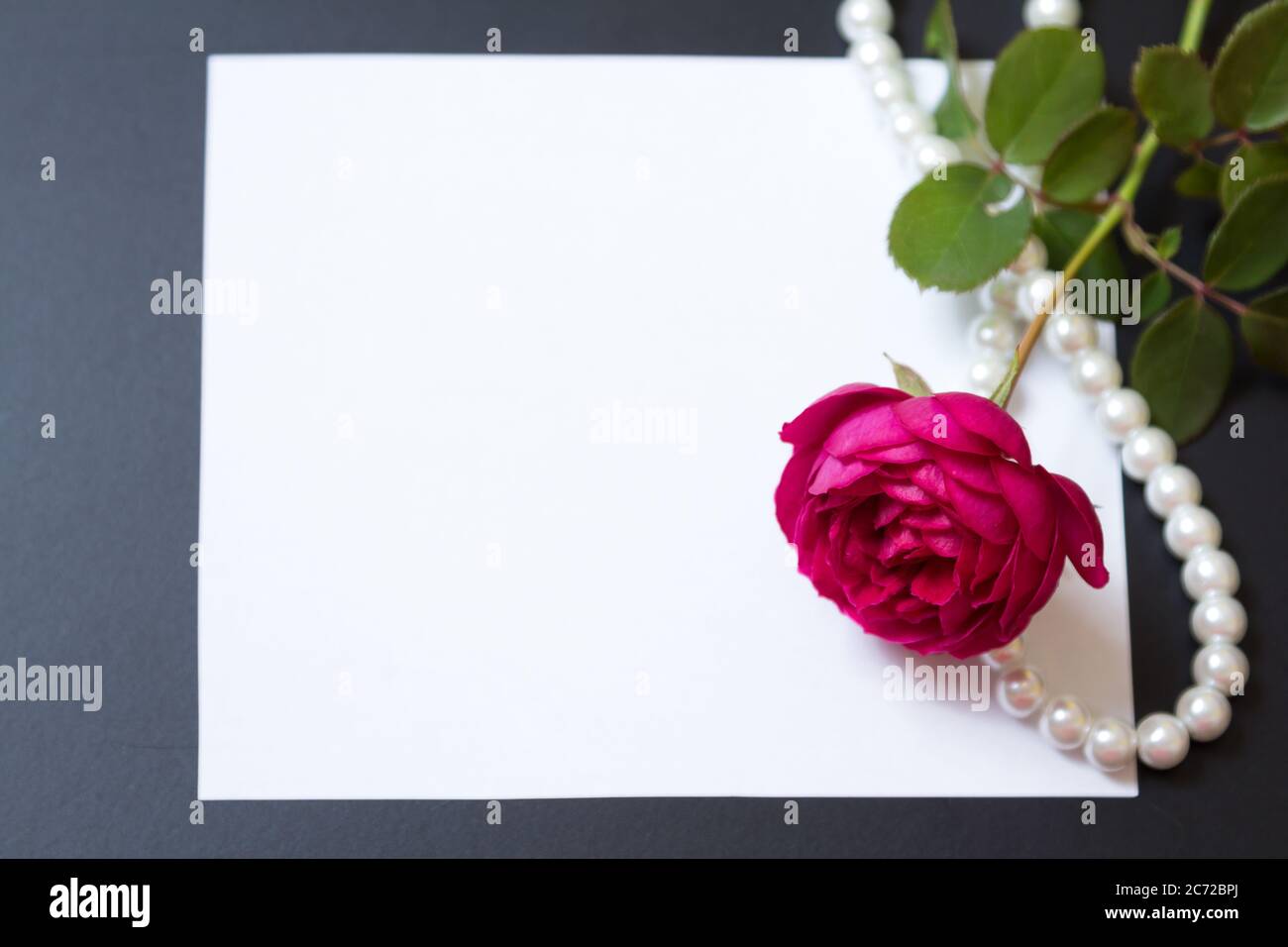Beautiful red rose with pearls and a clean white sheet of paper on a ...