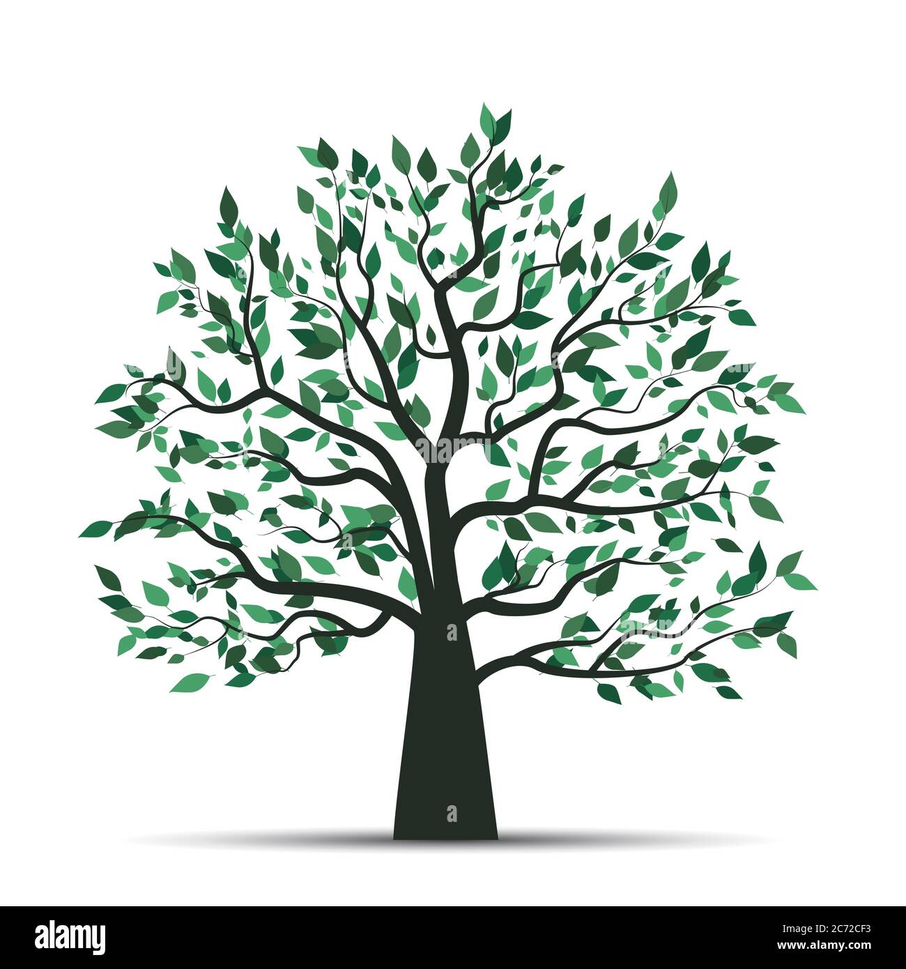 Health tree trees park Stock Vector Images - Alamy
