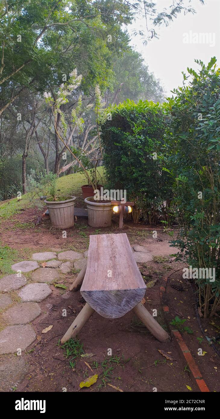 Isolated bench in a beautiful garden Stock Photo - Alamy