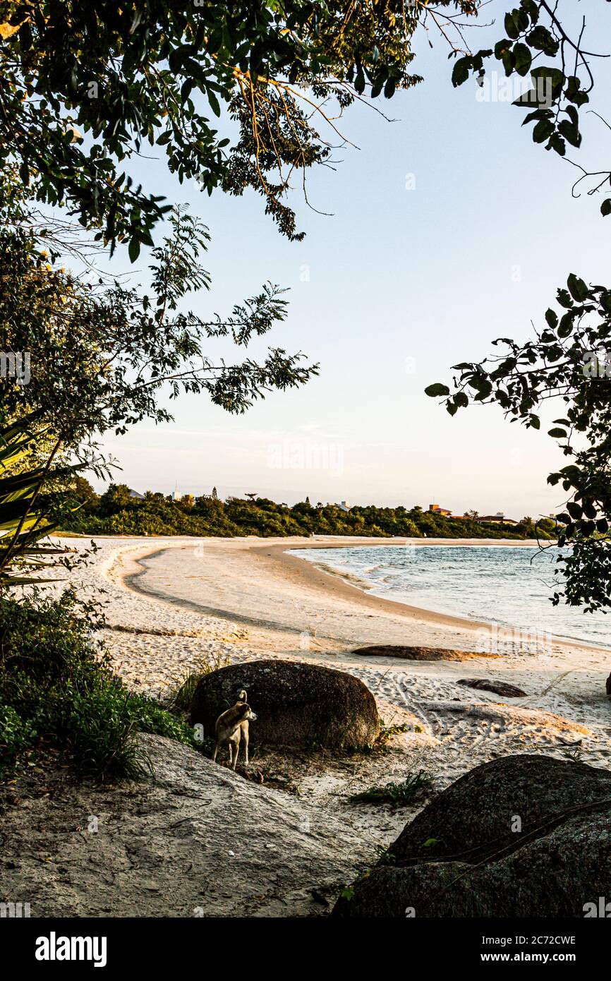 Daniela Beach. Florianopolis, Santa Catarina, Brazil Stock Photo - Alamy