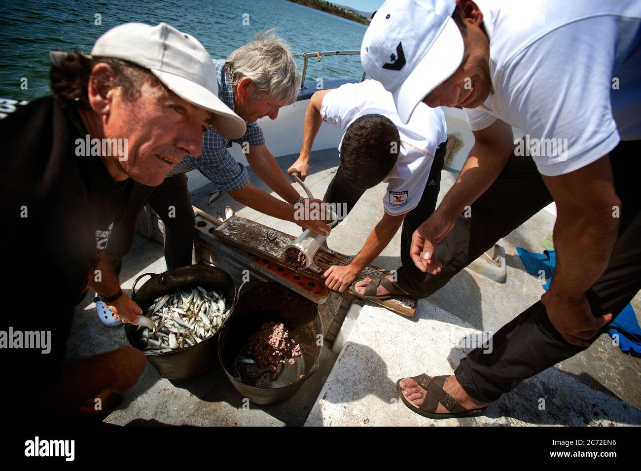 Fishermen of the Fernandez y Moreno fishing boat grind sardines that ...