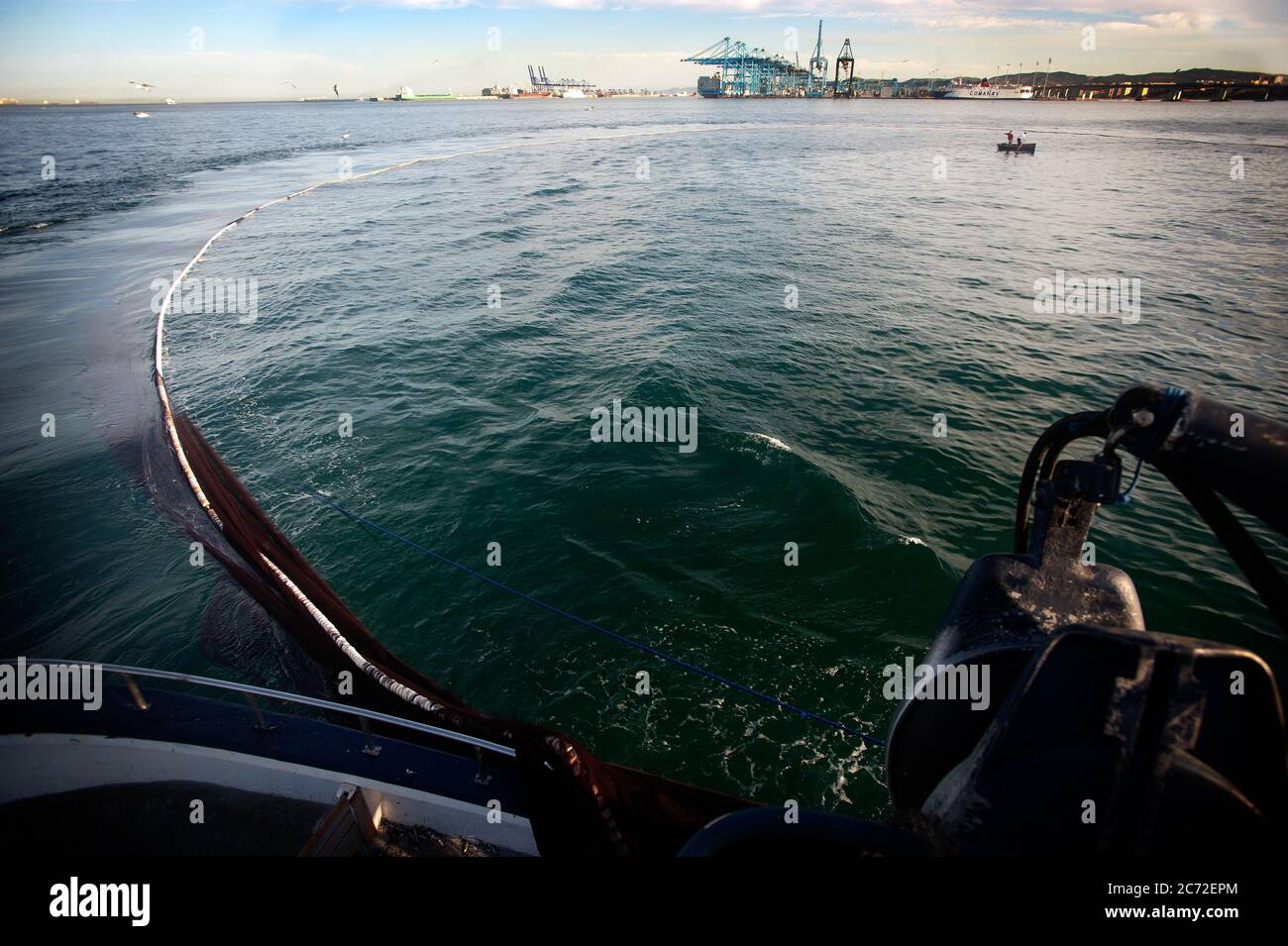 The Fernandez y Moreno fishing boat circles with the net a group of ...