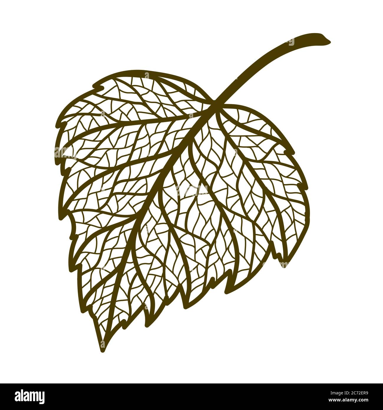 Leaf birch autumn line Cut Out Stock Images & Pictures - Alamy