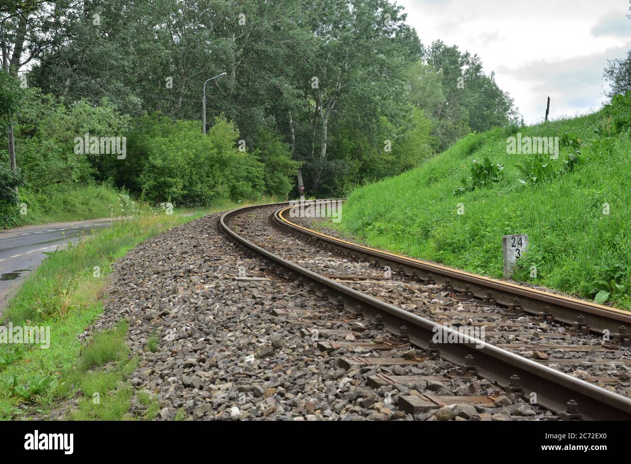 Railroad tracks and asphalt road turn between trees. Summer Stock Photo ...