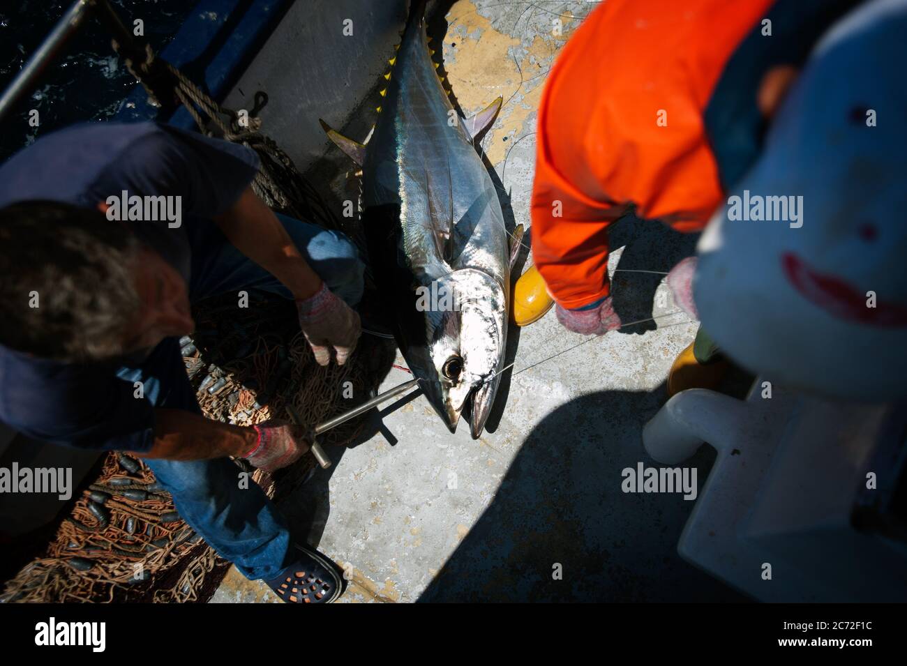 Rafael, skipper from the Fernandez y Moreno fishing boat, hits a ...