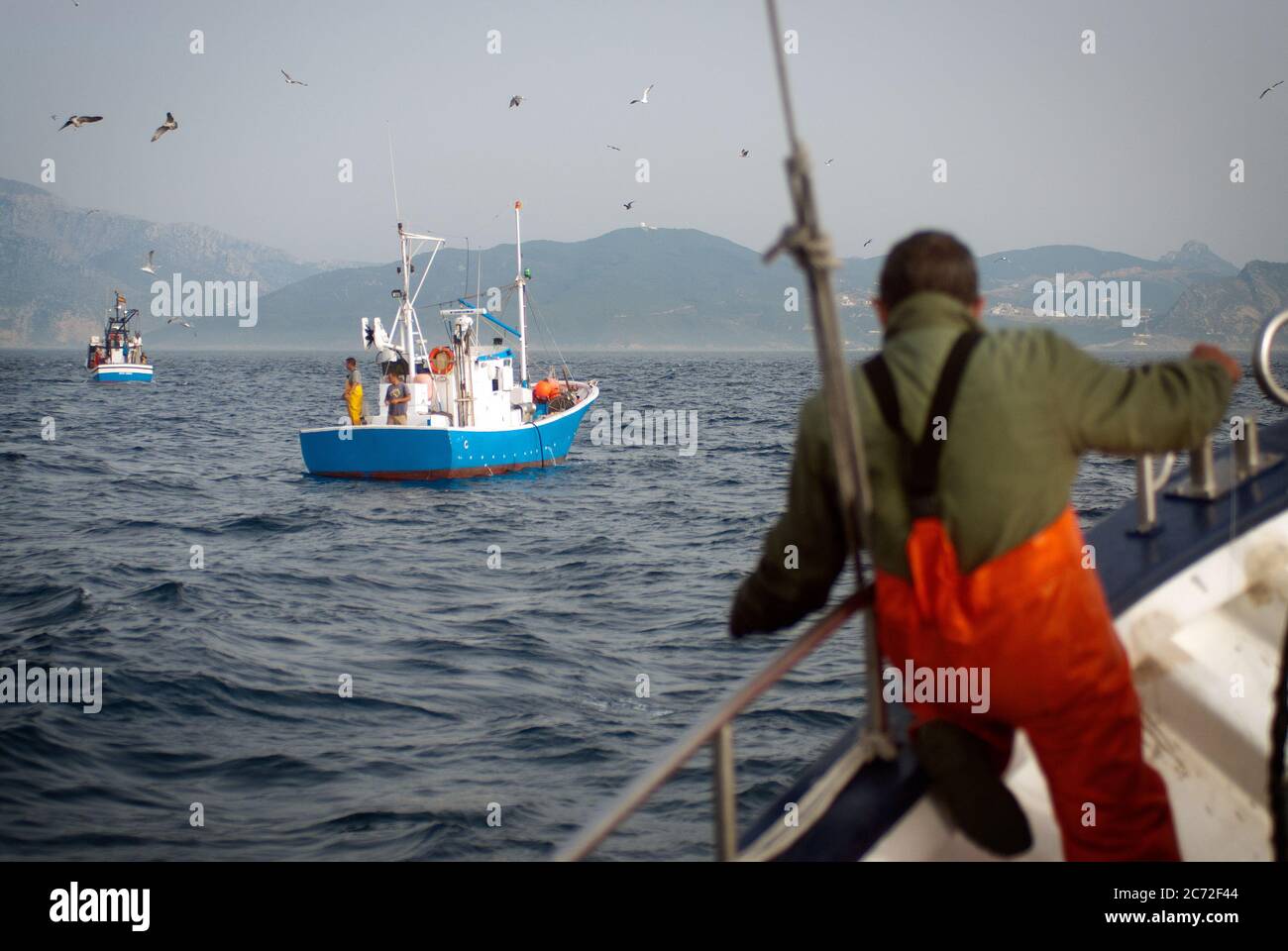 Linea de japon hi-res stock photography and images - Alamy