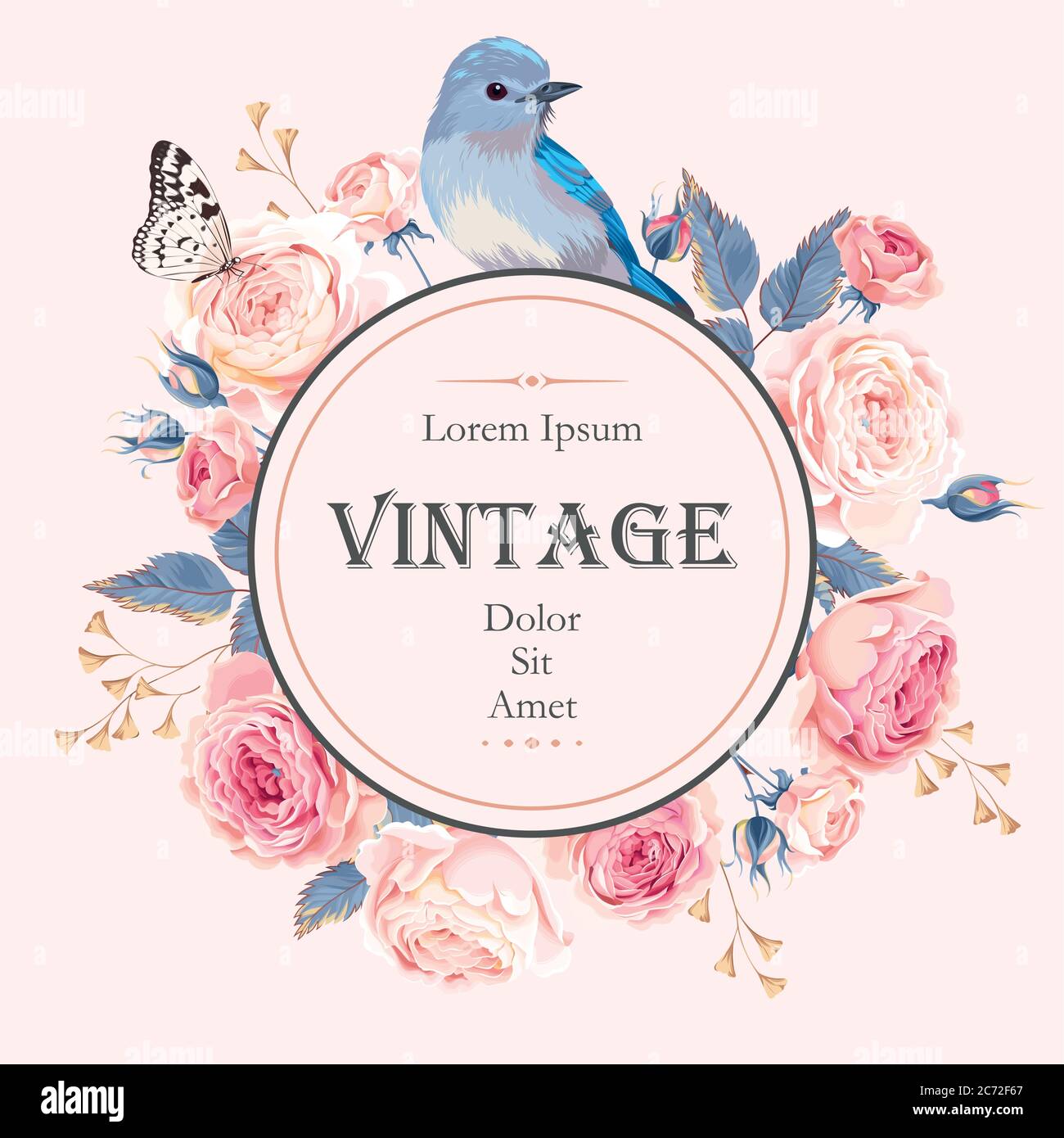 Card with roses and bird Stock Vector Image & Art - Alamy