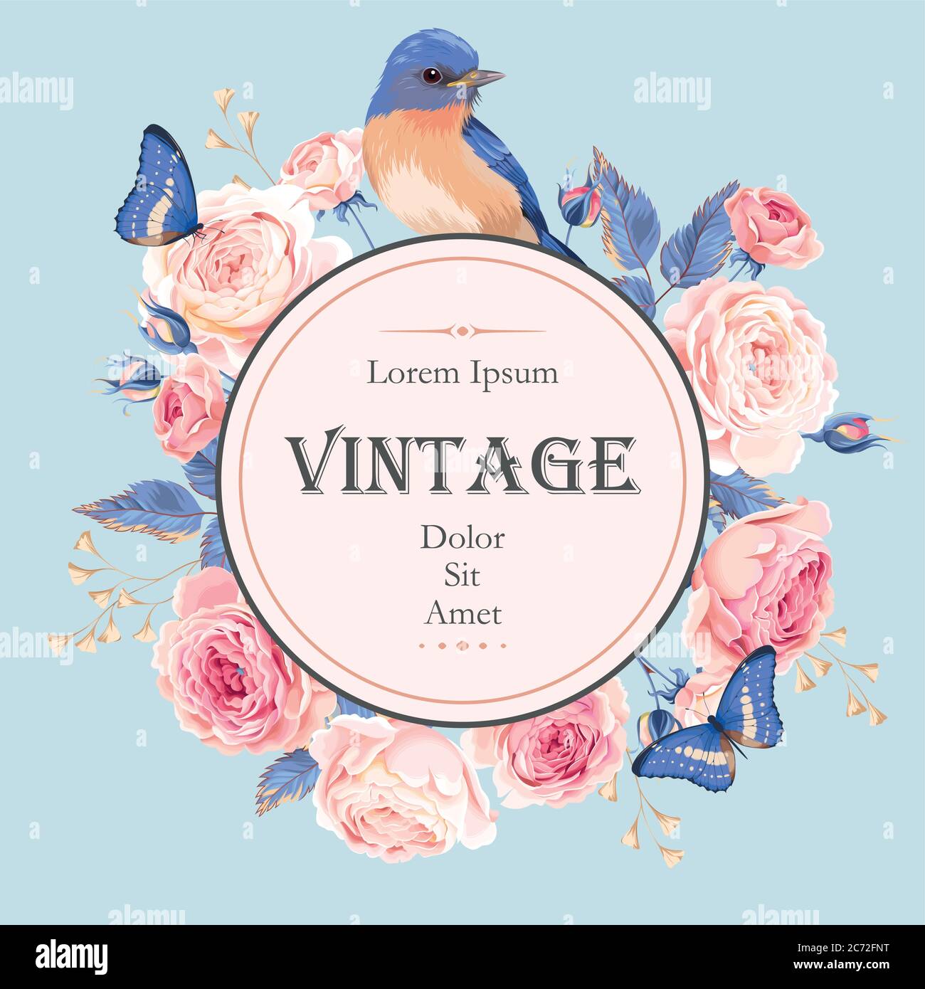 English rose garden Stock Vector Images - Alamy