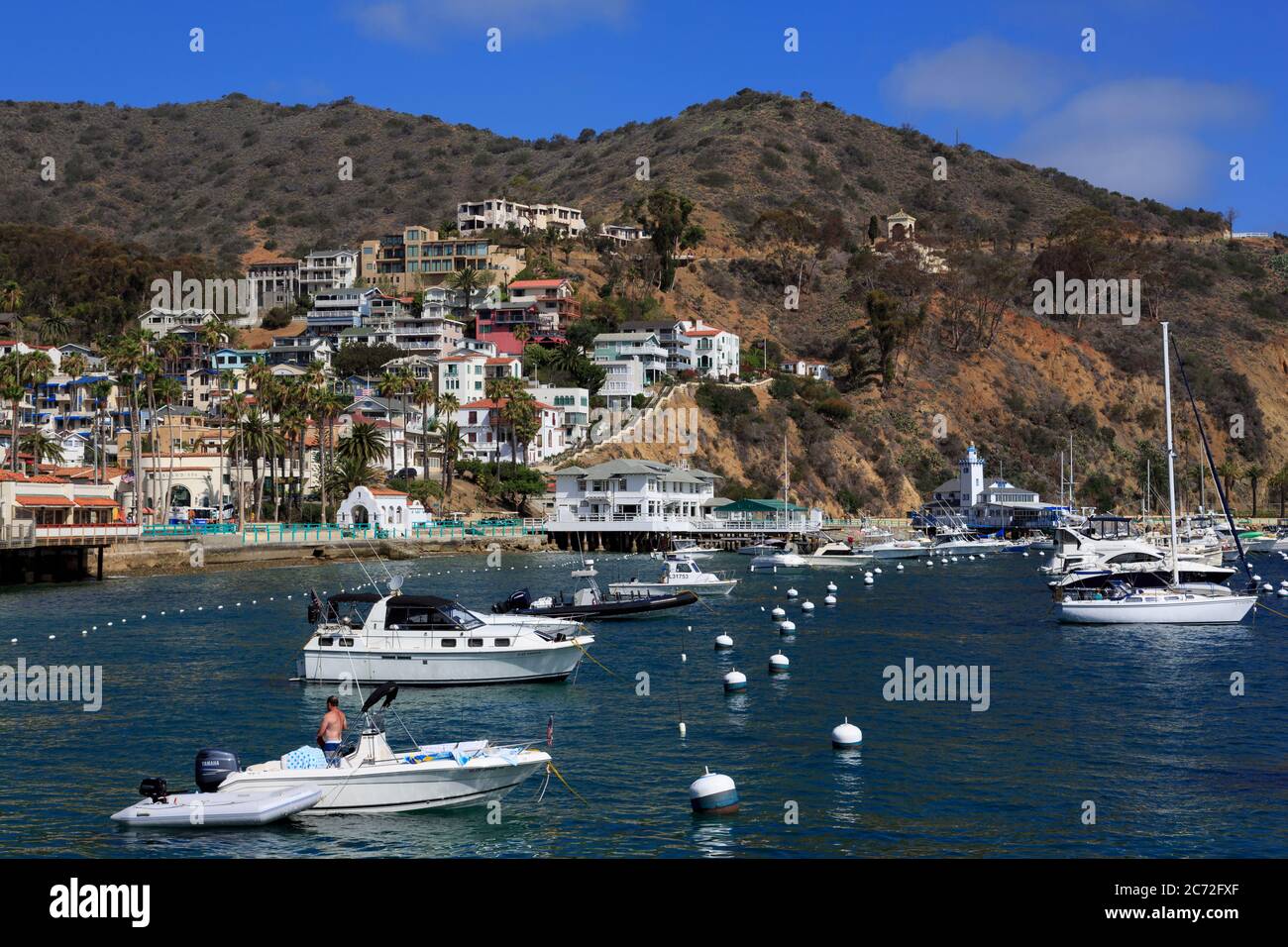 Harbor avalon catalina island hi-res stock photography and images - Alamy
