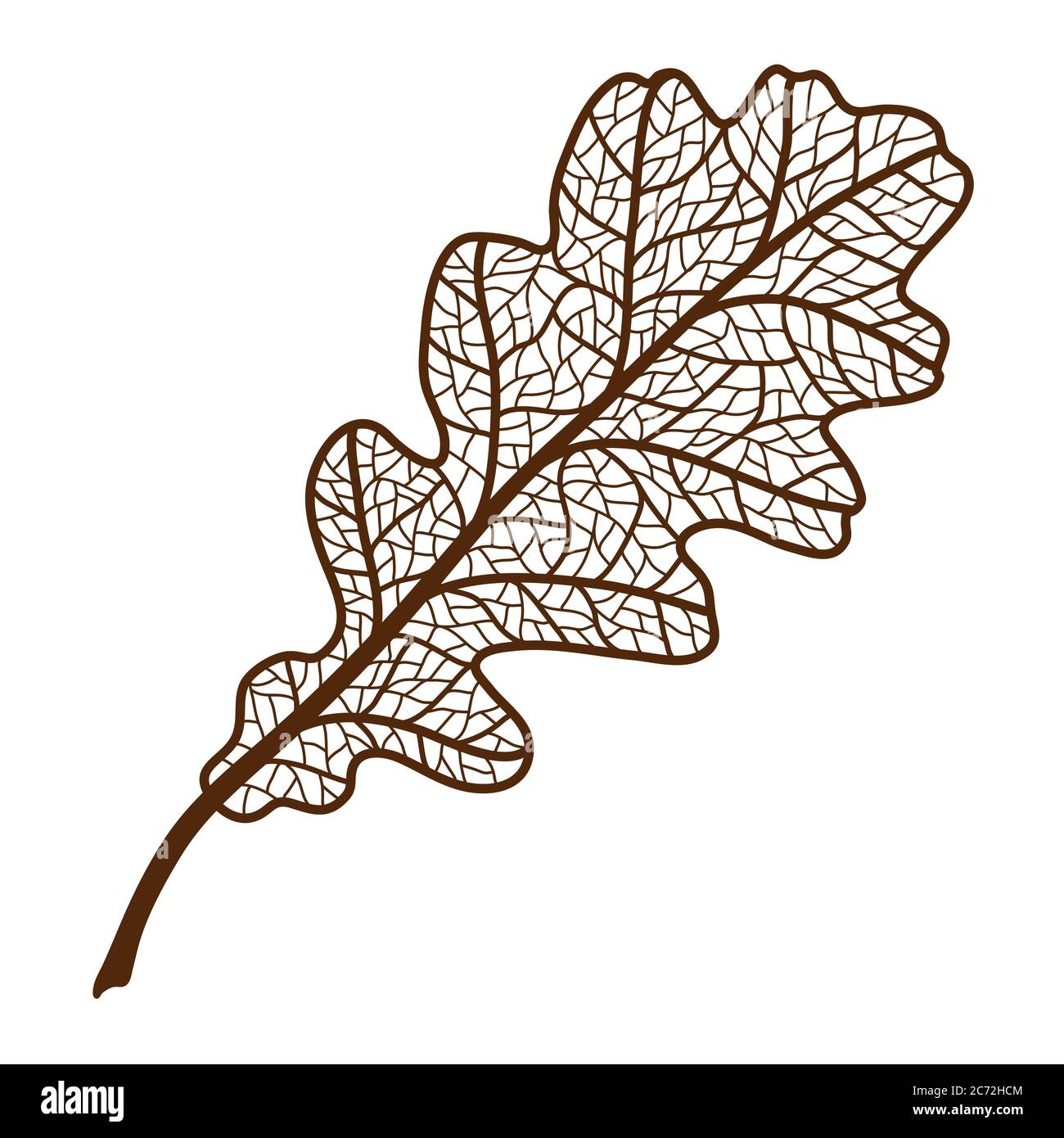 Oak Leaves Vector