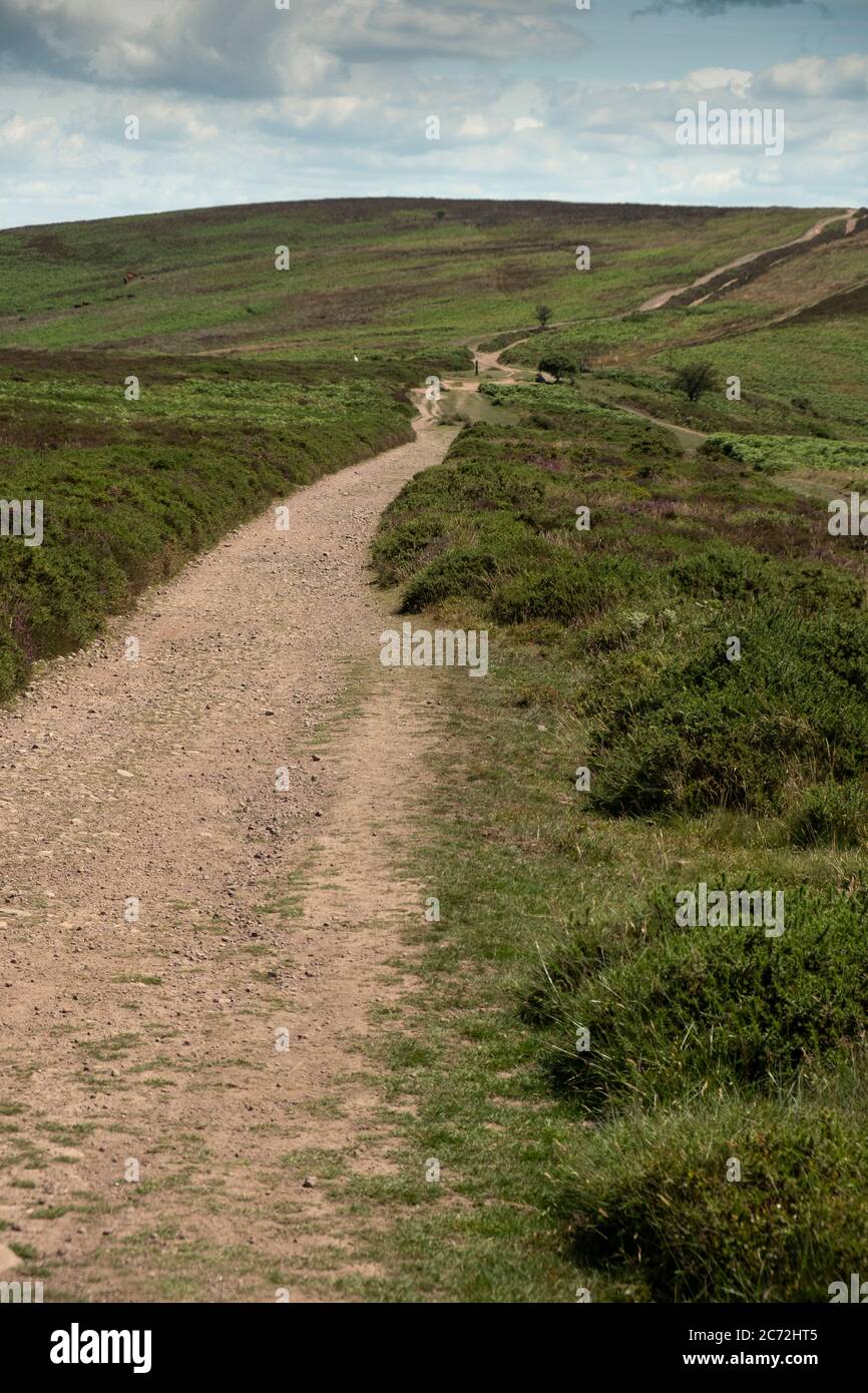 The quantock hills hi-res stock photography and images - Alamy