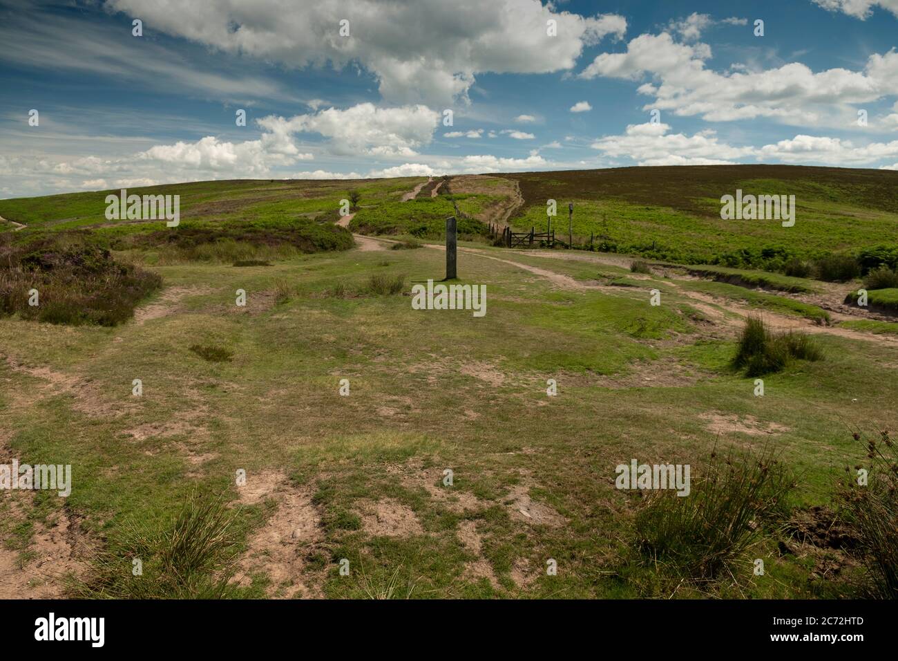 Quantock Hills, Somerset, UK Stock Photo - Alamy