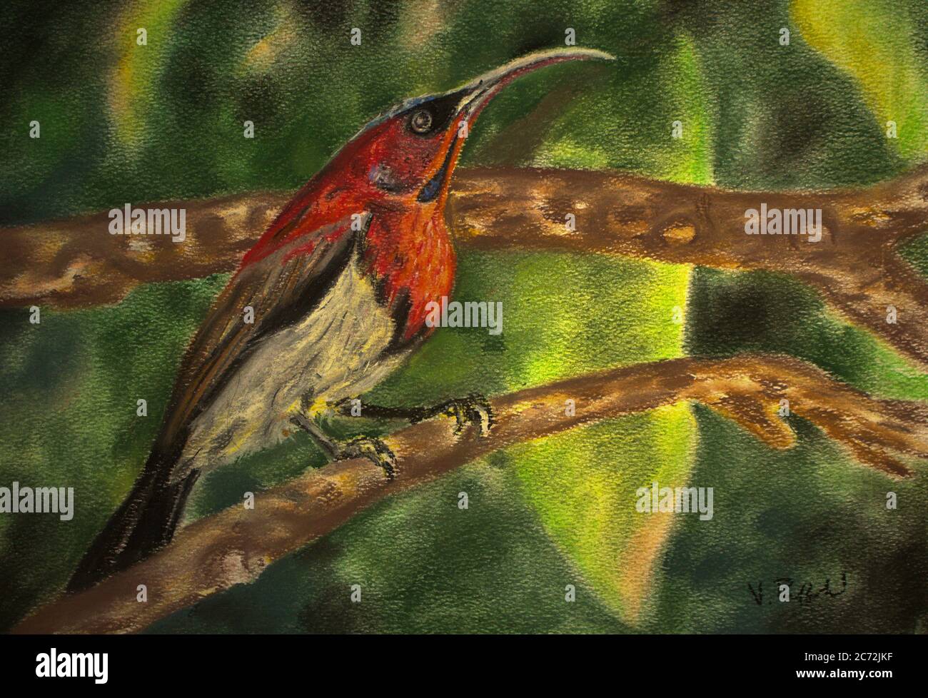 Pastel drawings hi-res stock photography and images - Alamy